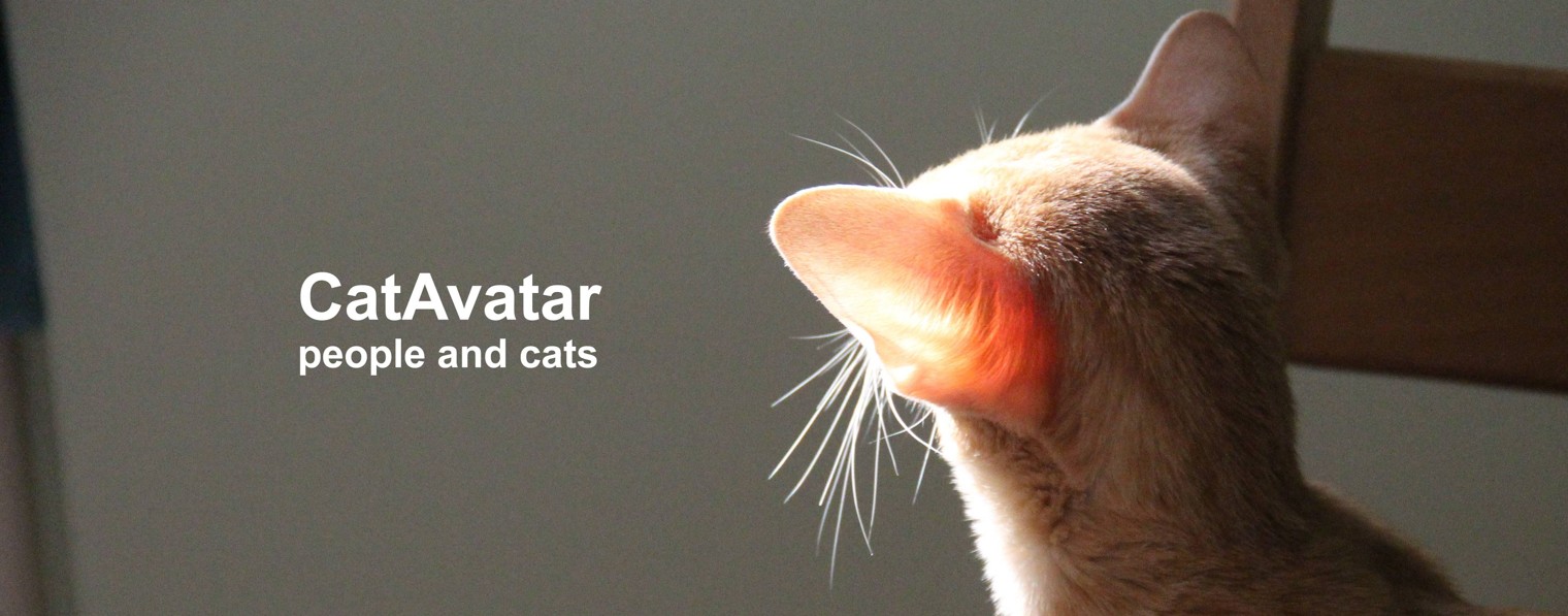 CatAvatar