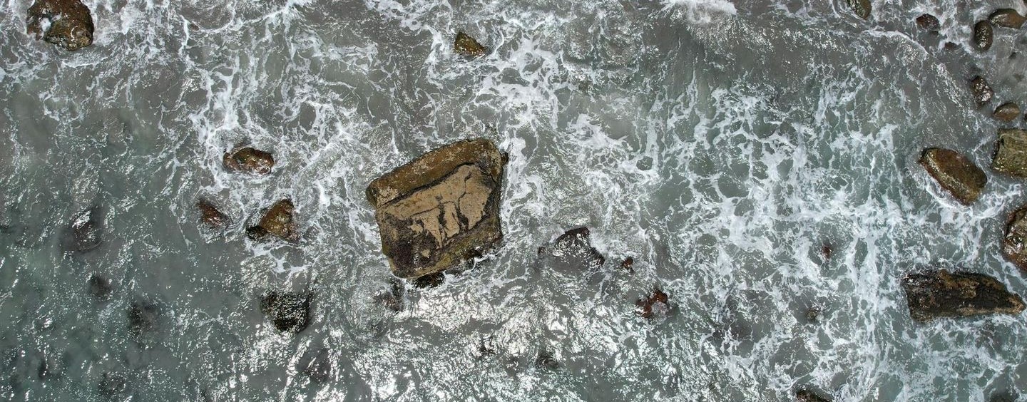 Психолог Гришина Анна