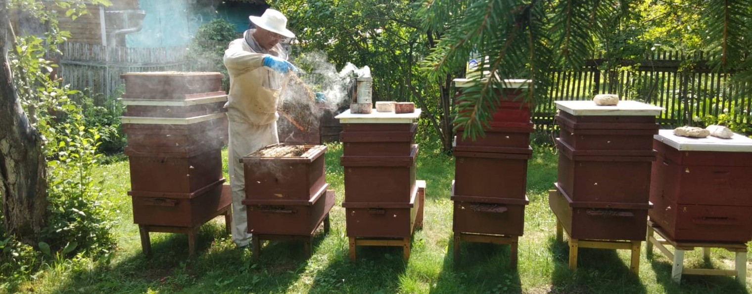 APIVOX. ПЧЕЛЫ. КЛЕЩИ. СОЛНЕЧНЫЙ УЛЕЙ.