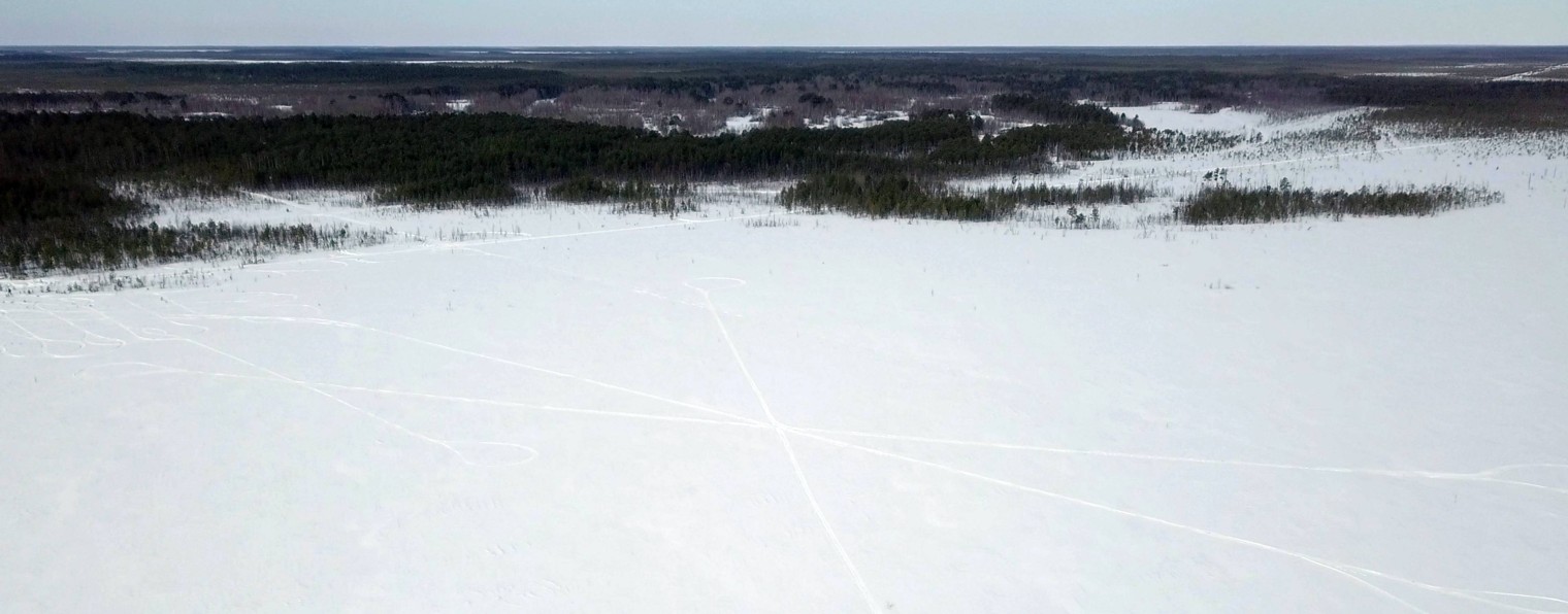 ГЕОСЕЙС МЕДИА