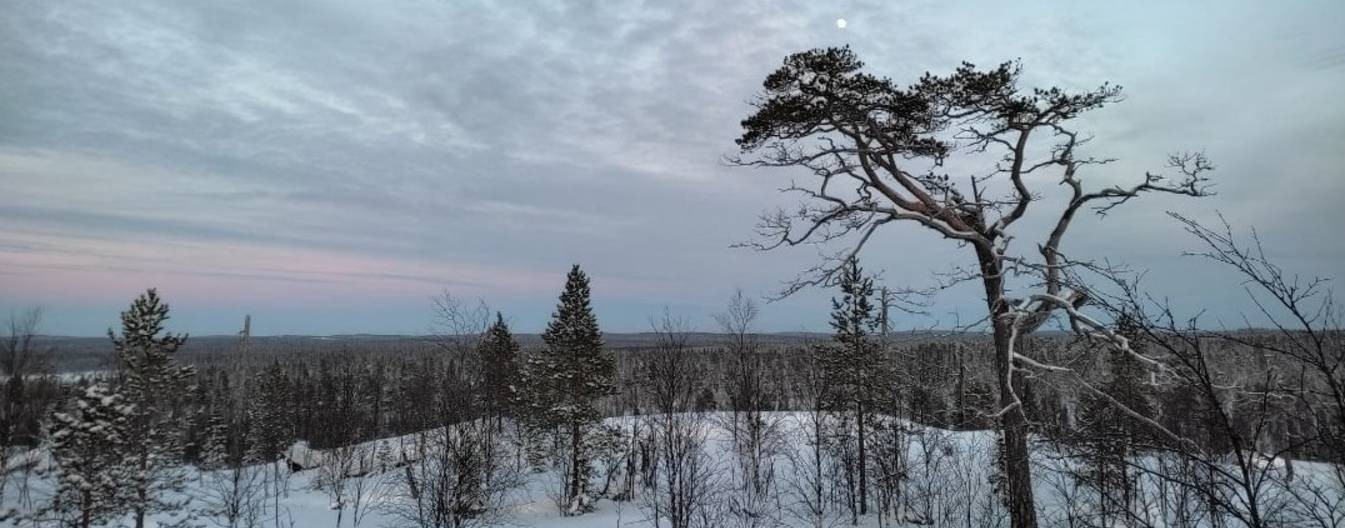 Терский Таёжный