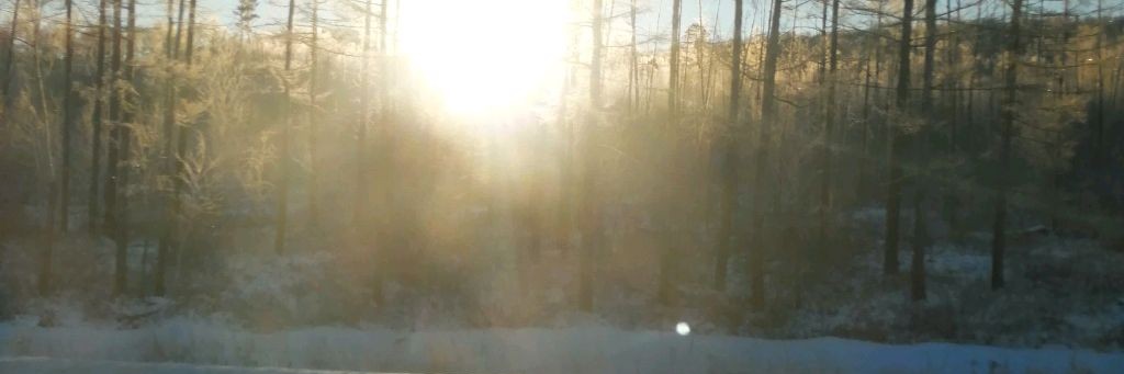 Приятные моменты