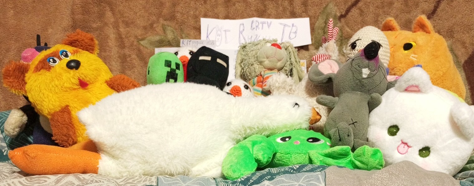 Кот рыжик ТВ