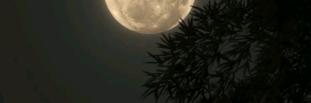 ■Faep♡☆Can♤♡