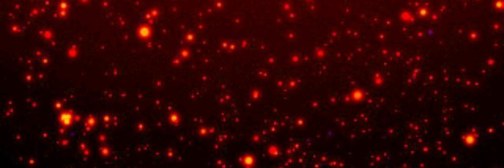 Астрология ♈♓