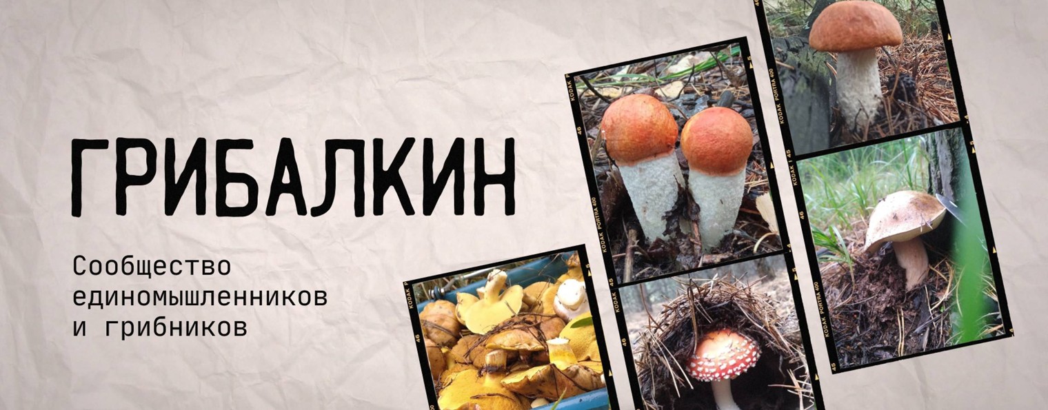 ГРИБАЛКИН