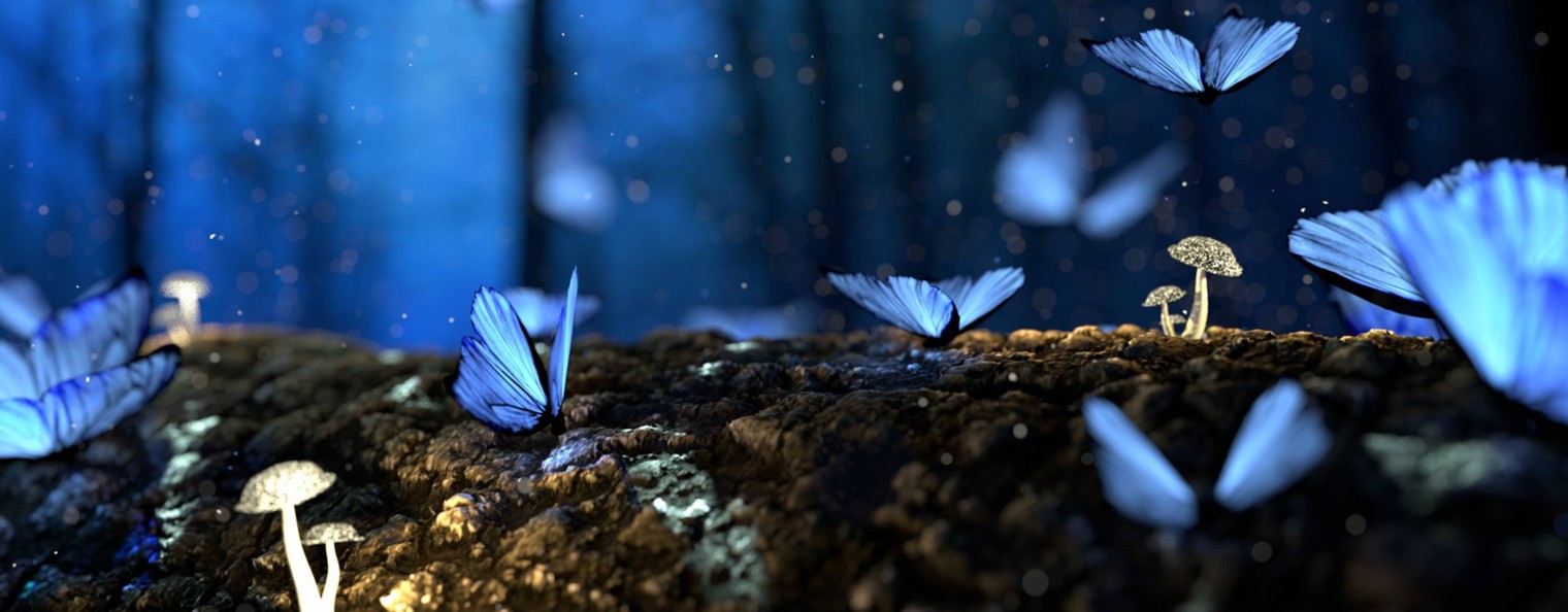 Ирина Ведищева