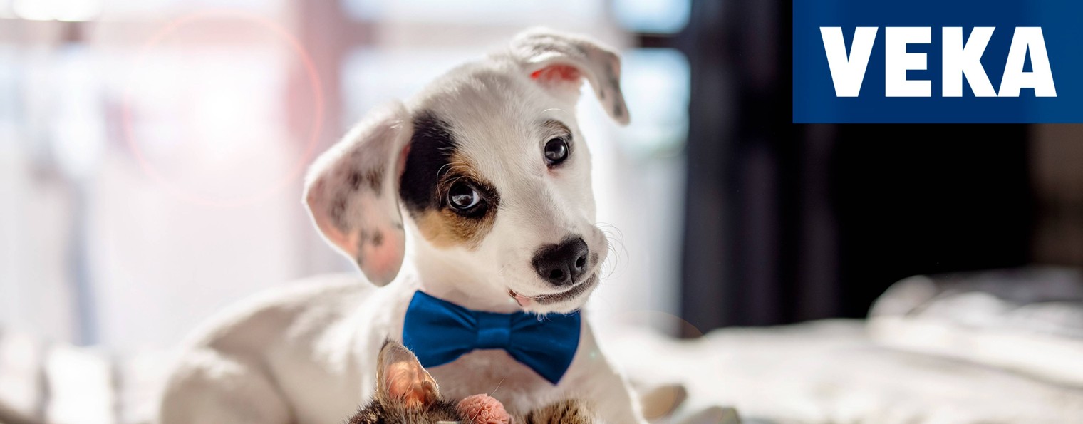 VEKA Пластиковые окна