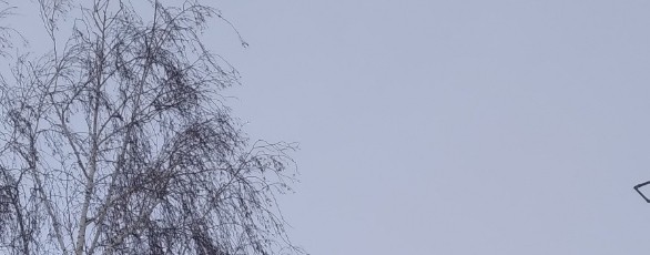 Детская телестудия