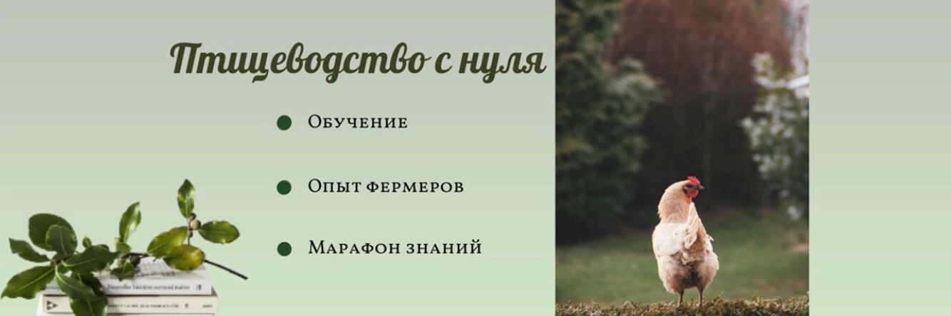 Птицеводство с нуля. Обучение.