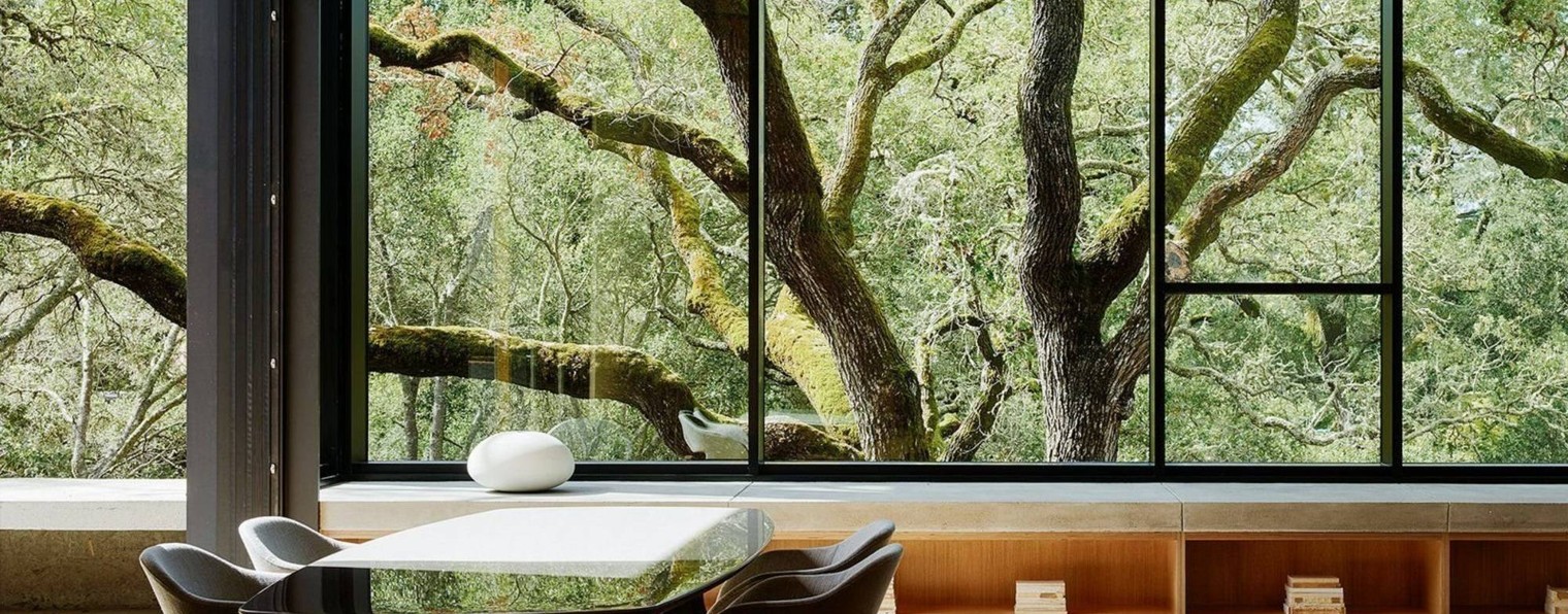 Эльвира Ахметсафина