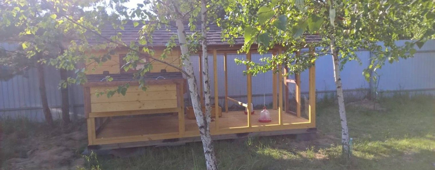 Евгений Сибилев