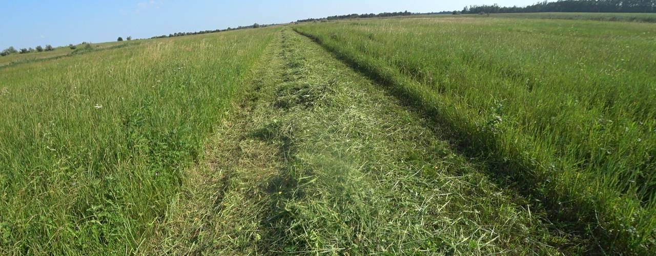 Геннадий кфх