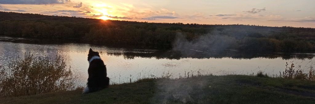 Творческая мастерская Марины Евдокимовой