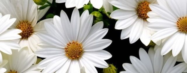 Делюсь с Вами!