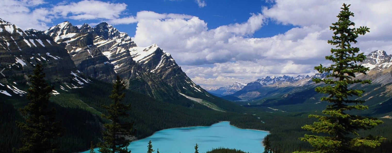 Жиренков Михаил |Репетитор по математике