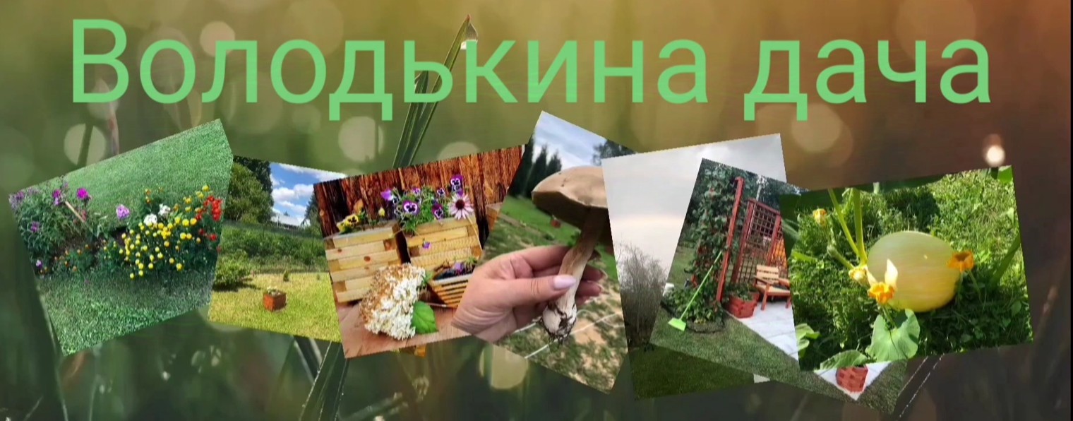 Володькина дача