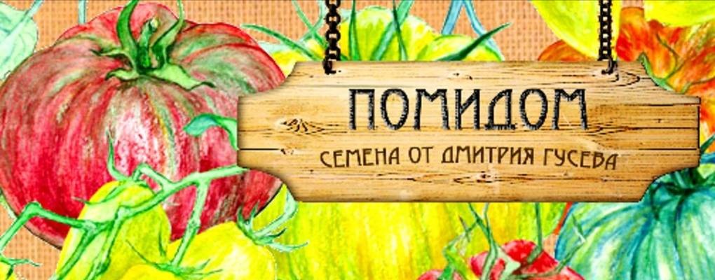 Гусев Дмитрий