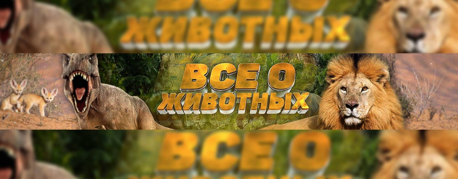 Все о животных