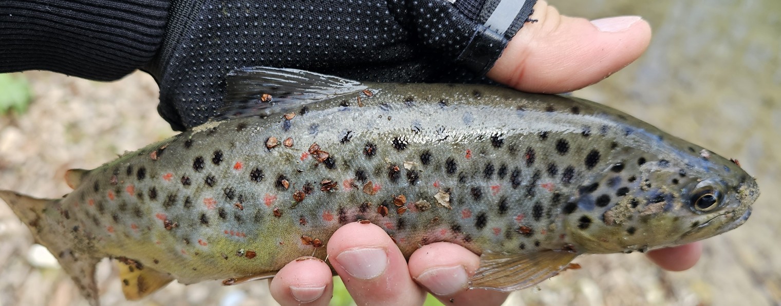 My fishing 07