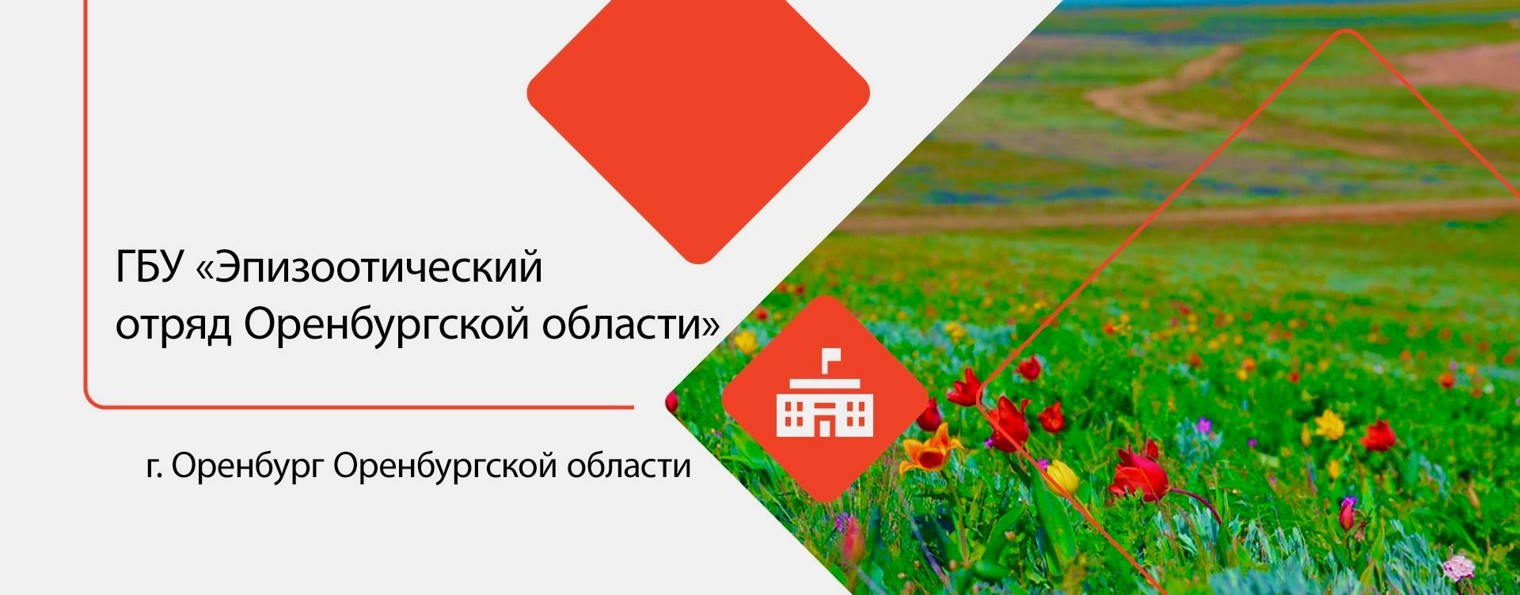 Эпизоотичексий отряд Оренобласти