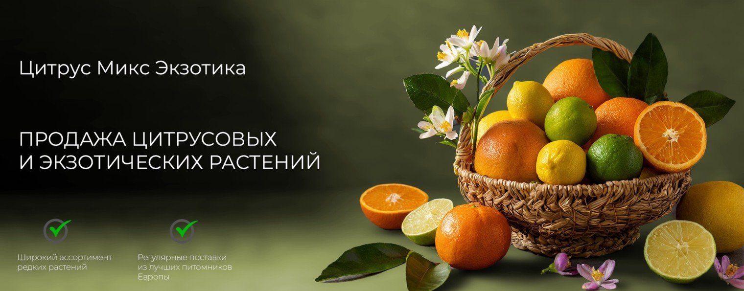 Цитрус Микс Экзотик