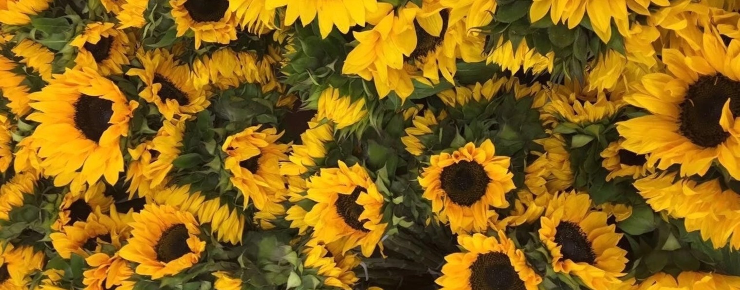 Ансамбль Кружева |голос, гусли и гармонь