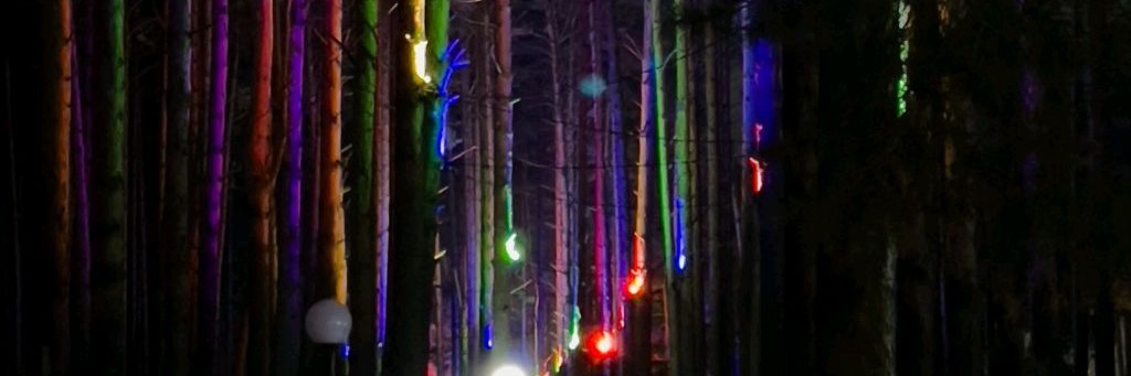 Победоносцев Антон Александрович