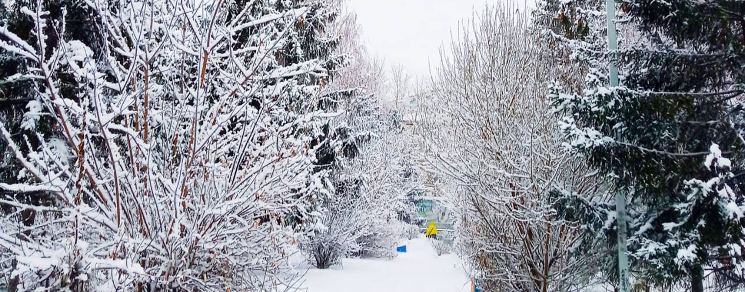 Василий Аксёнов