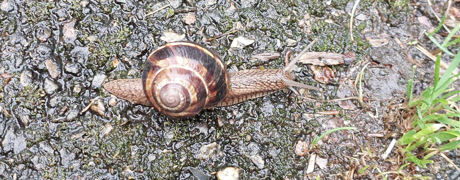 Сергей Попов