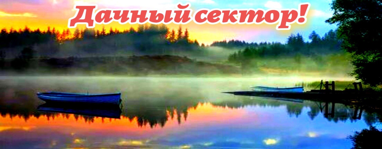 Дачный сектор!
