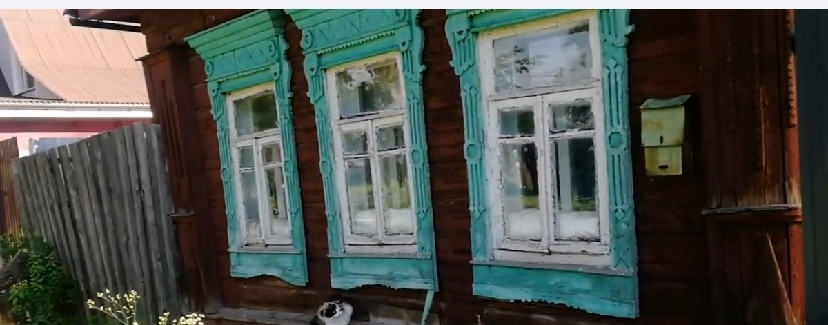 Дачные радости : строительство и огород