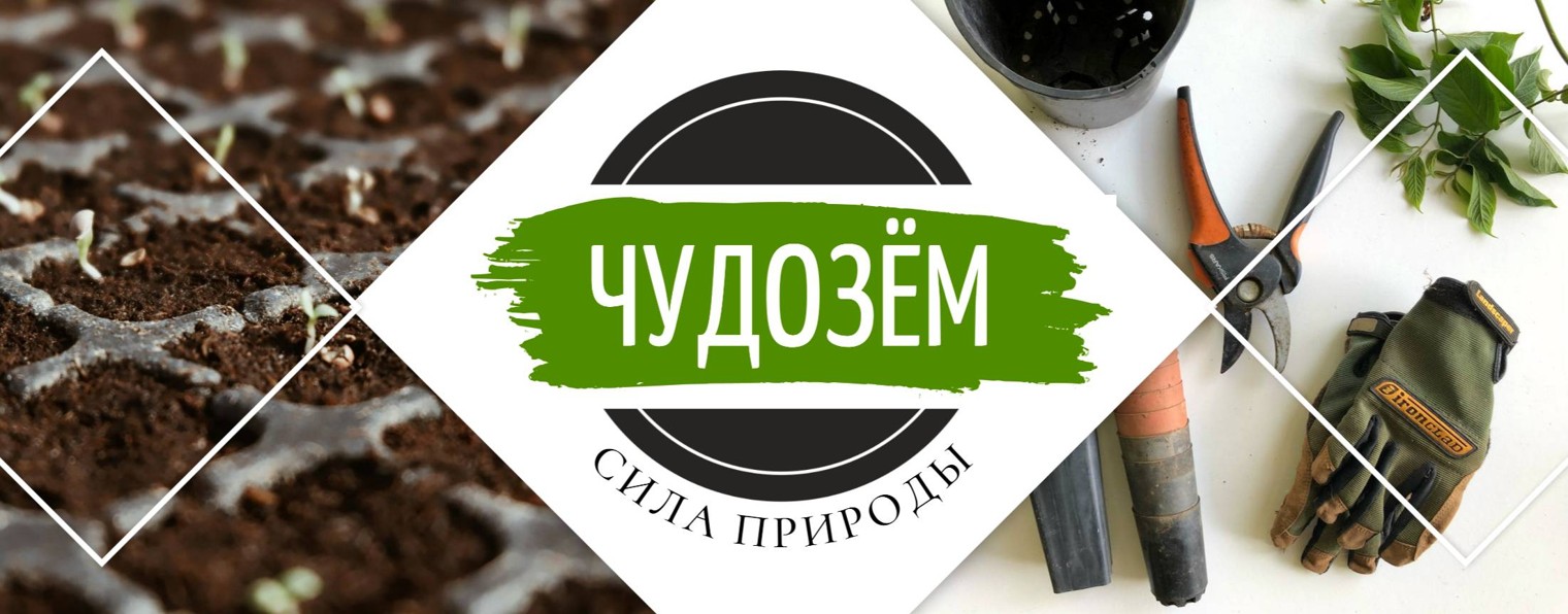Чудозём