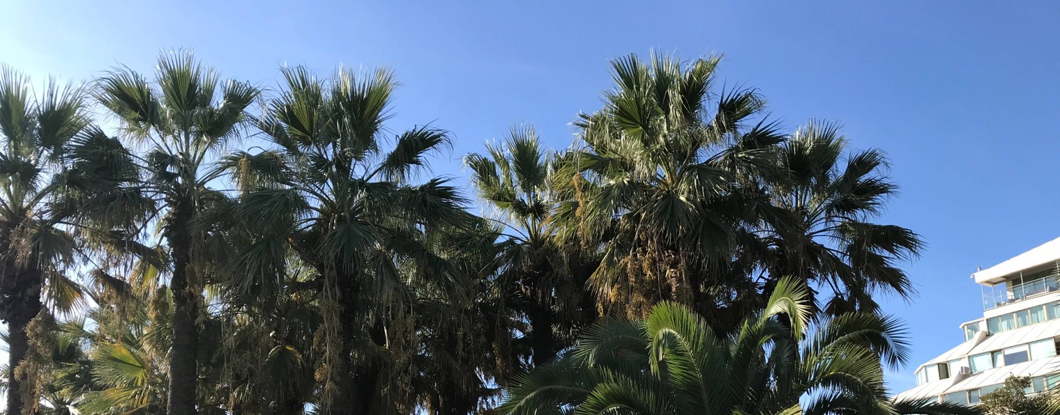 Супер Саша из Краснодара