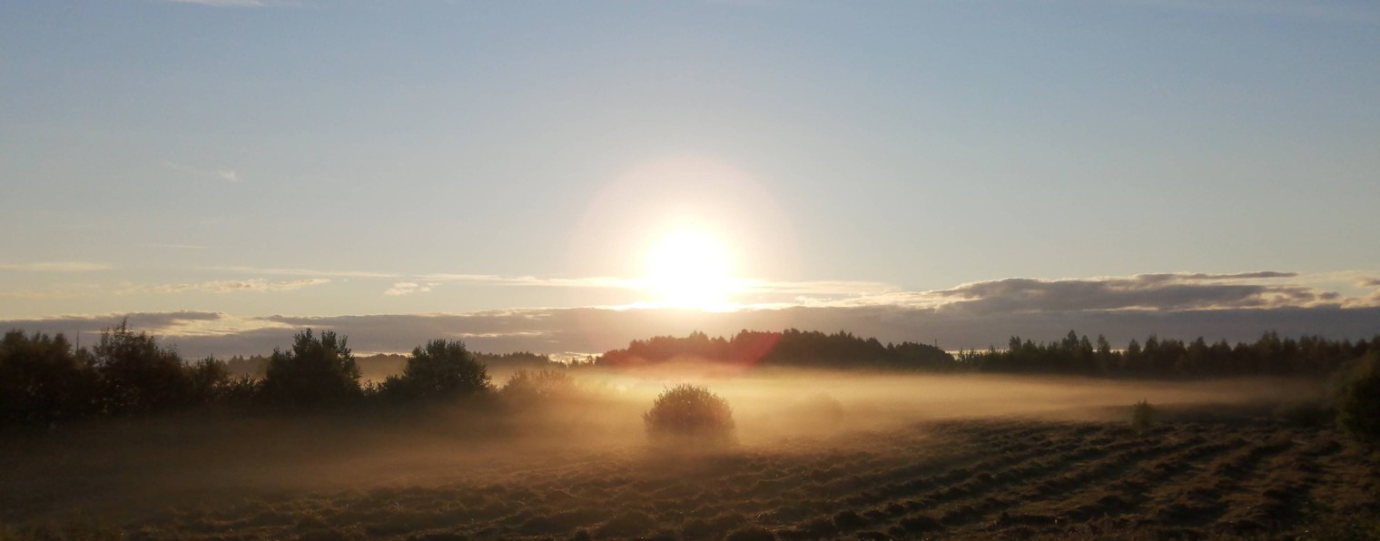 Николай Соколов