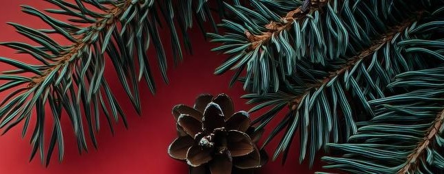 Мы сами рисуем свой мир!!!