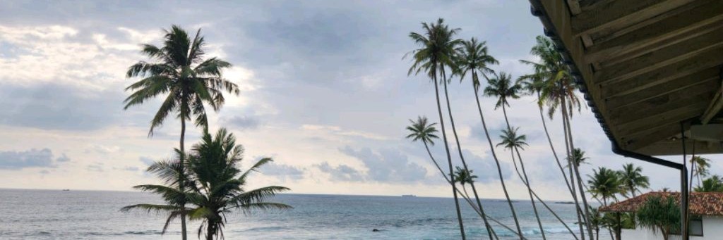 Оркестр Амонгасиков