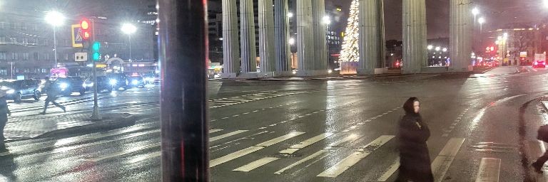 Профессиональный скиталец