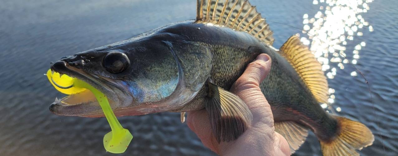 Евгений Качалов