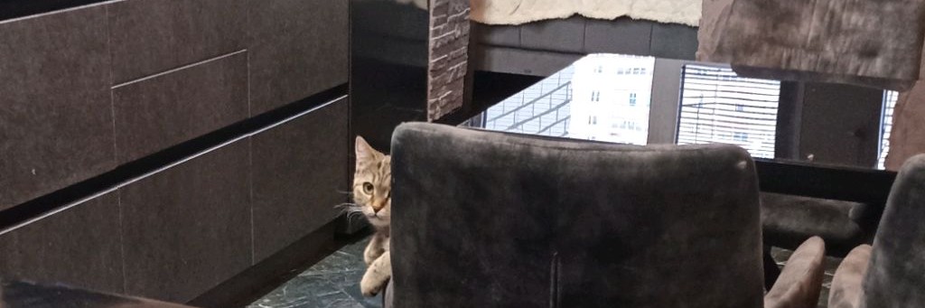 Мультики и анимации про Лего