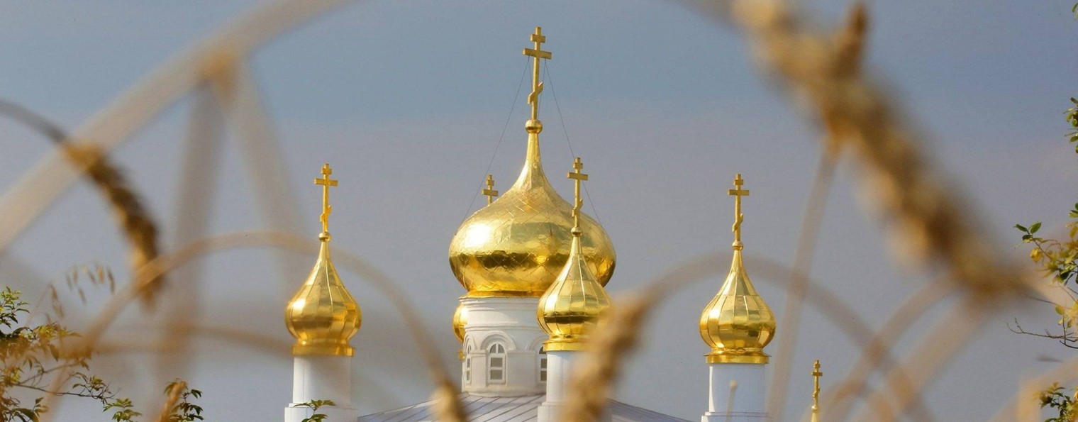 Ирина Владимировна К.