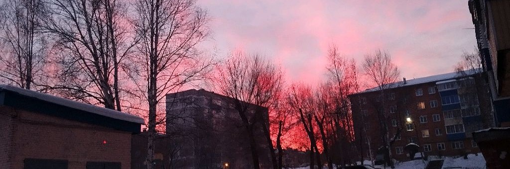 Собрание Котов