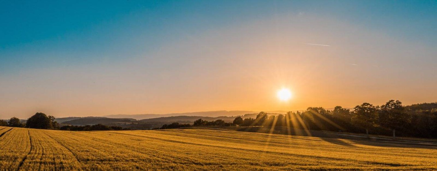 Матрица для вощины ЖИВОЙ СОТ