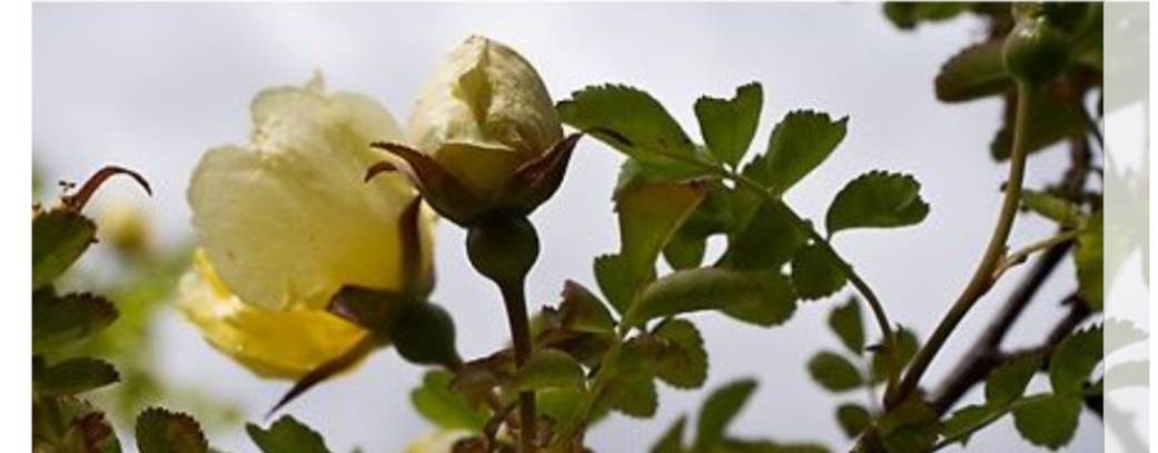 "В согласии с природой"