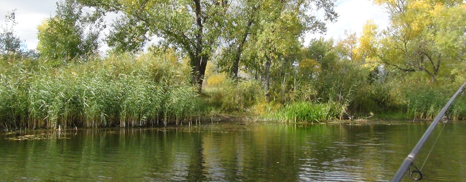 Михалыч дачник и рыбак