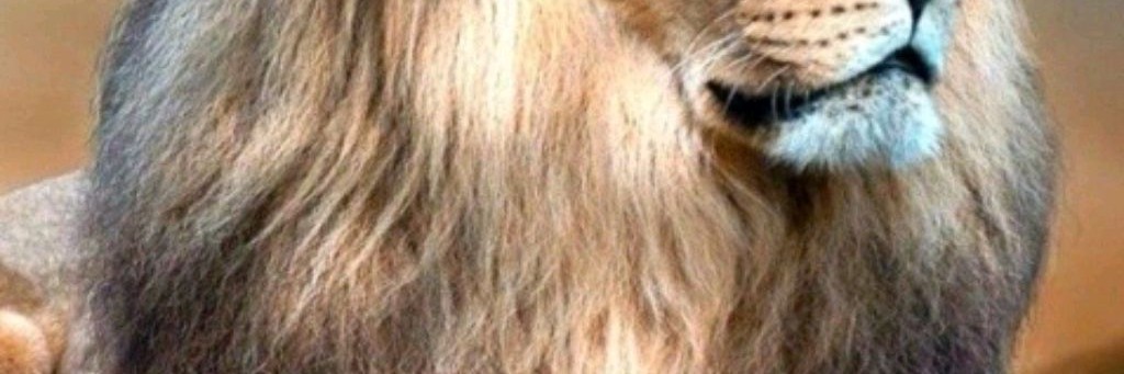 Скиния Духа Святого