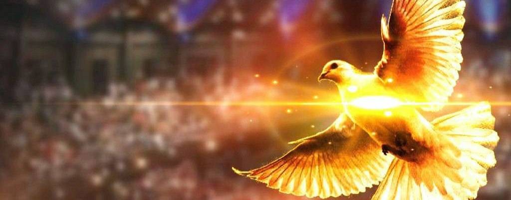 СКИНИЯ ЕДИНЕНИЯ