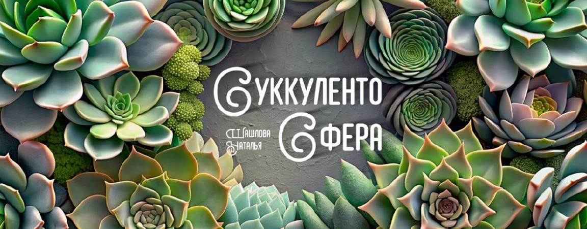 СуккулентоСфера