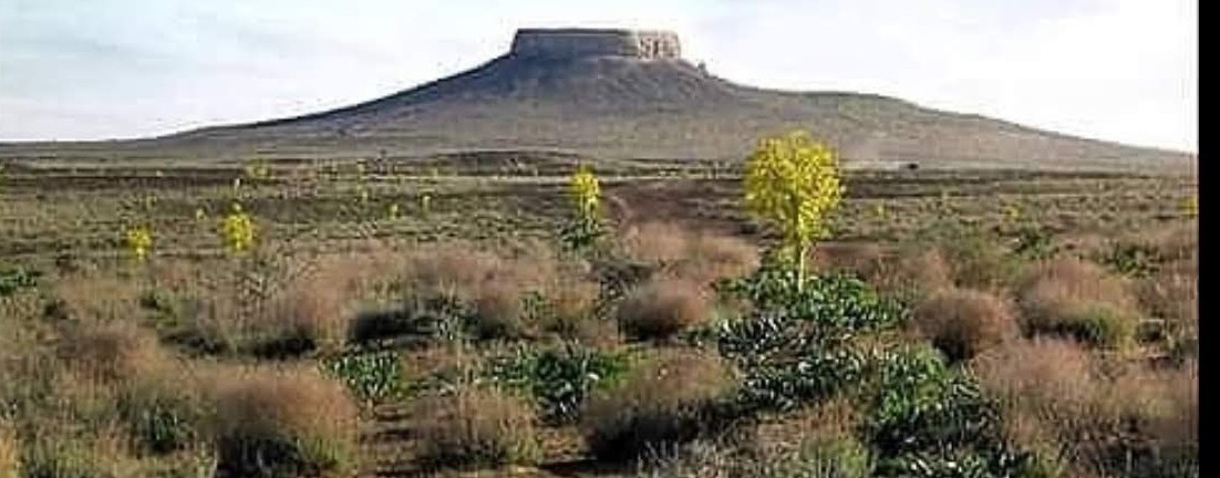 Абдукадыров Низамаддин