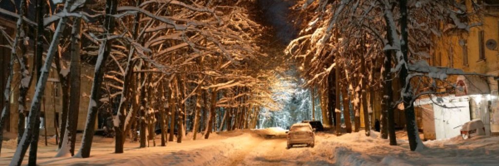 |•~Кузнечик^^